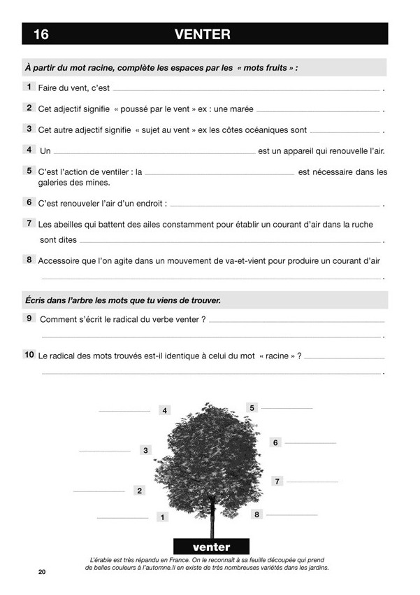 Scop Les Editions buissonnieres - L'arbre aux mots