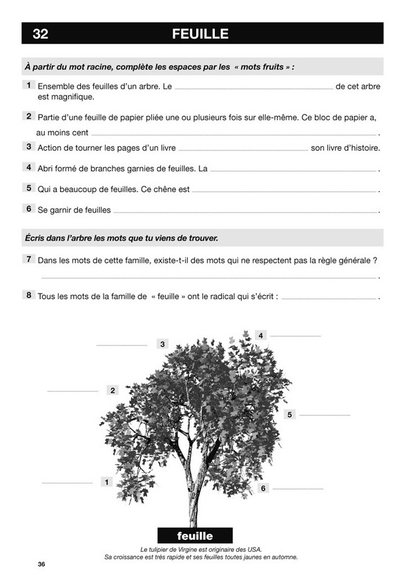 Scop Les Editions buissonnieres - L'arbre aux mots
